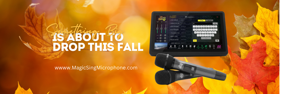 Magic Sing Karaoke Collection – All-in-One Microphones & Song Systems ...